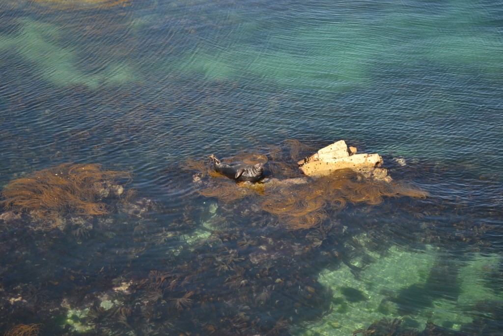 Successful Landscape Environment and Habitat Information Evening ...